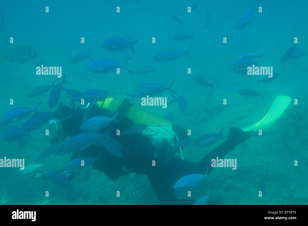 Underwater Swim Sink Fish Hurghada Egypt Africa Coral Reef "Coral Reef ...