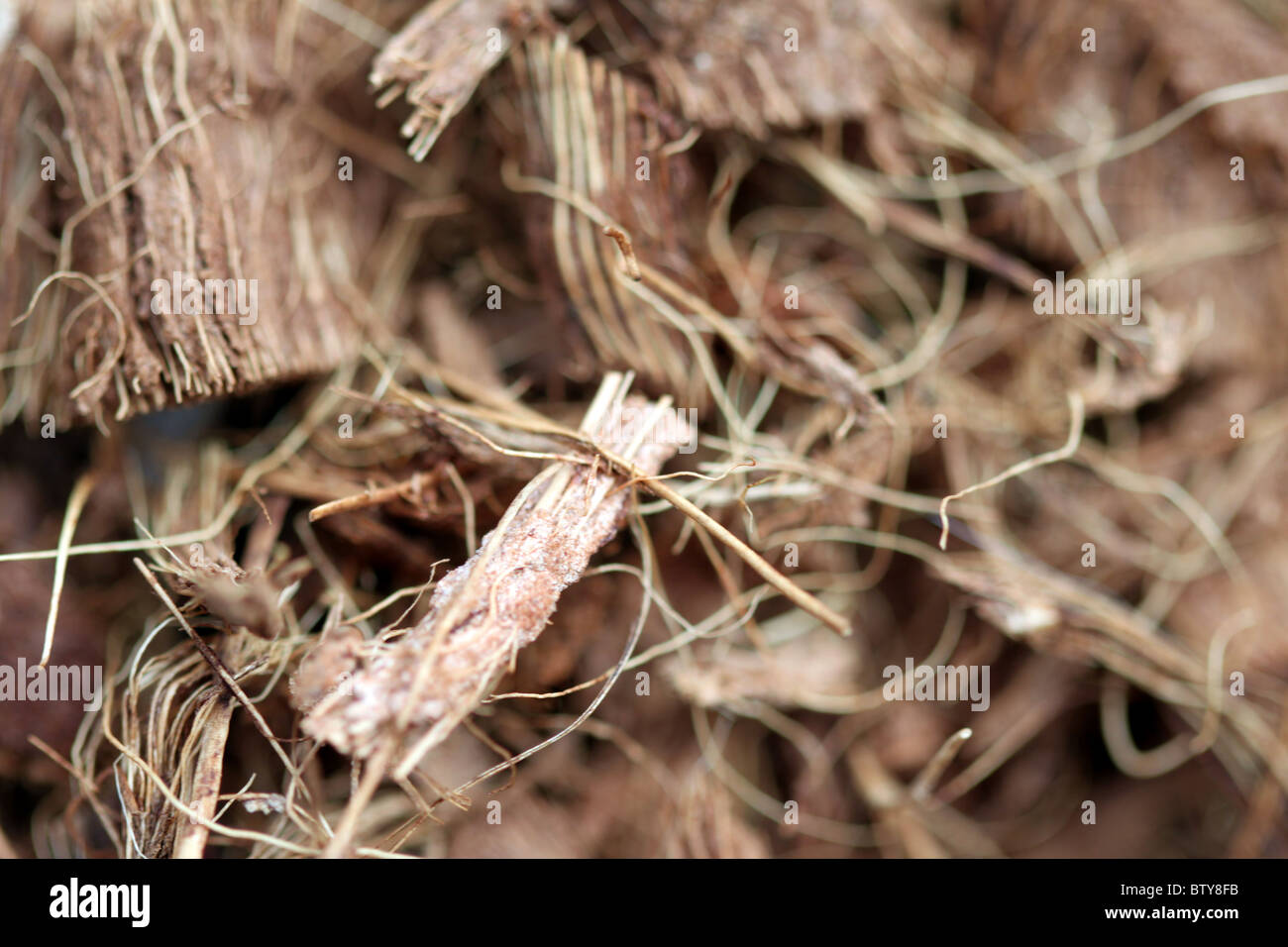 Chipped bark mulch hi-res stock photography and images - Alamy