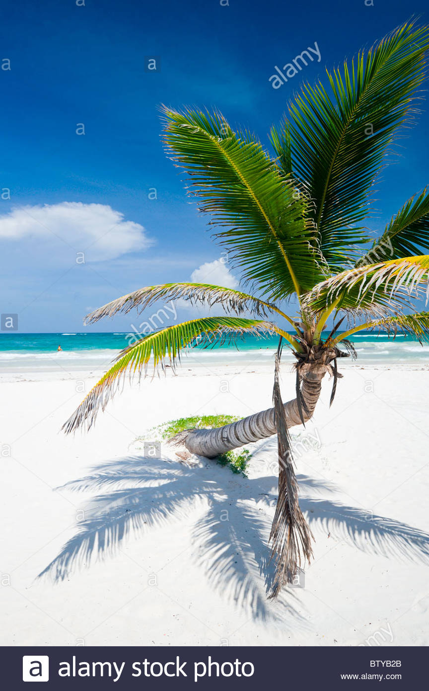 Mexico Peninsula Yucatan Tulum Coast High Resolution Stock Photography ...
