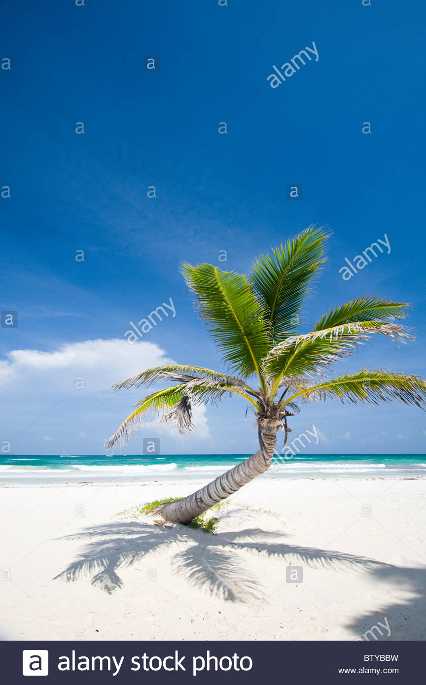 Mexican Beach High Resolution Stock Photography and Images - Alamy