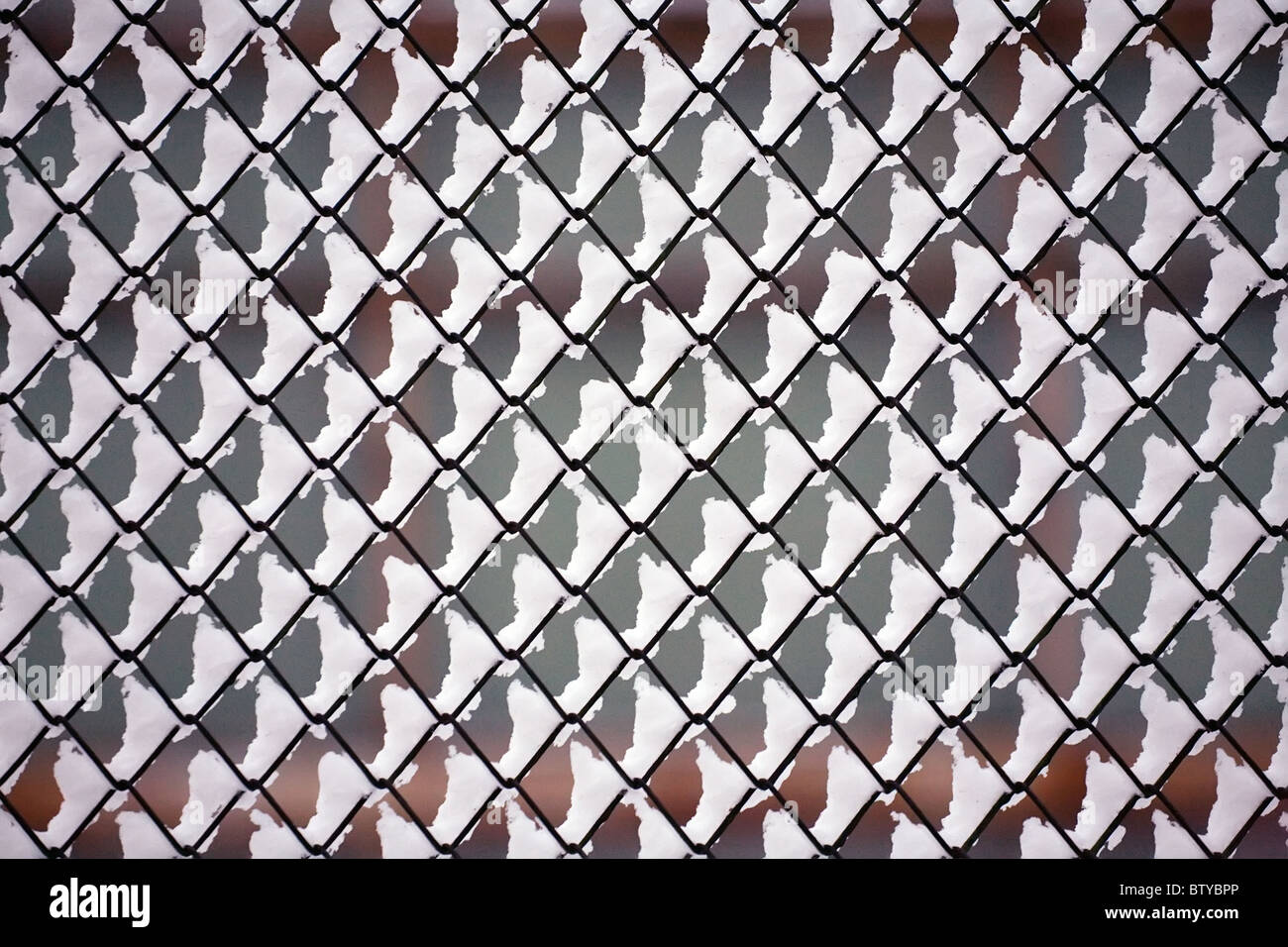 pattern of metal net with snow in every cell Stock Photo - Alamy
