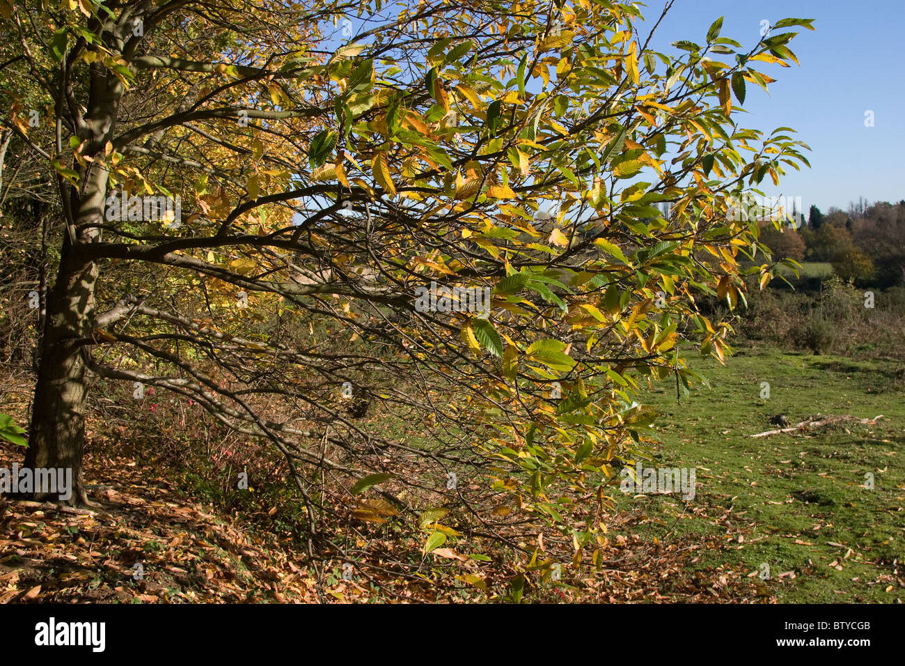 Picturesque england autumn hi-res stock photography and images - Alamy