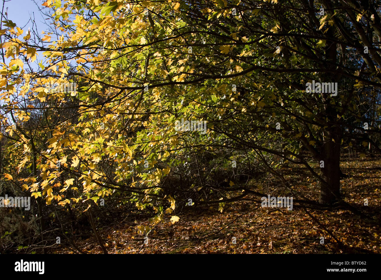 English view hi-res stock photography and images - Alamy