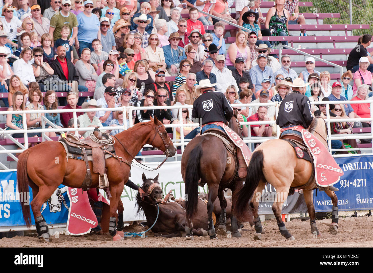 People attend a rodeo saddle bronc injured during Strathmore Heritage ...