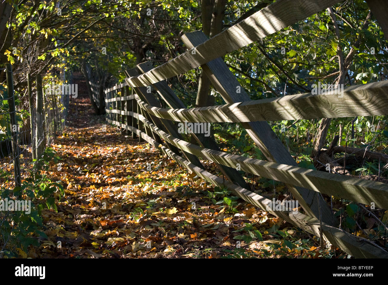 Autumn view countryside Kent England Stock Photo - Alamy