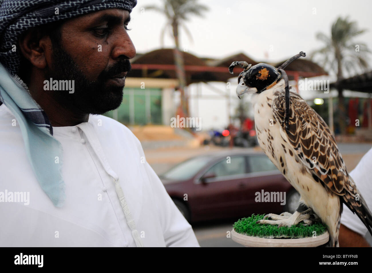 Falconry is one of the traditional pastimes of Dubai since ages. The ...