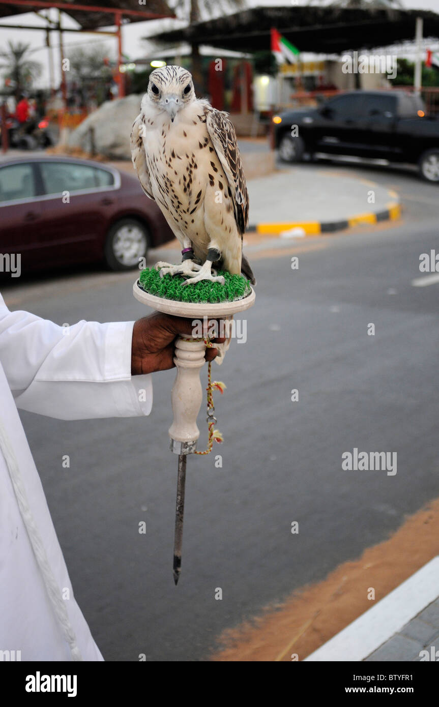 Falconry is one of the traditional pastimes of Dubai since ages. The ...