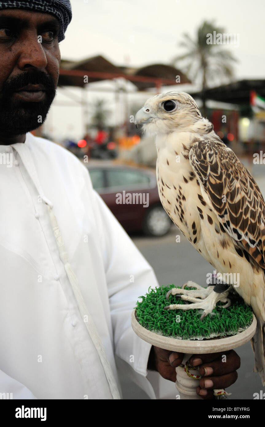 Falconry is one of the traditional pastimes of Dubai since ages. The ...