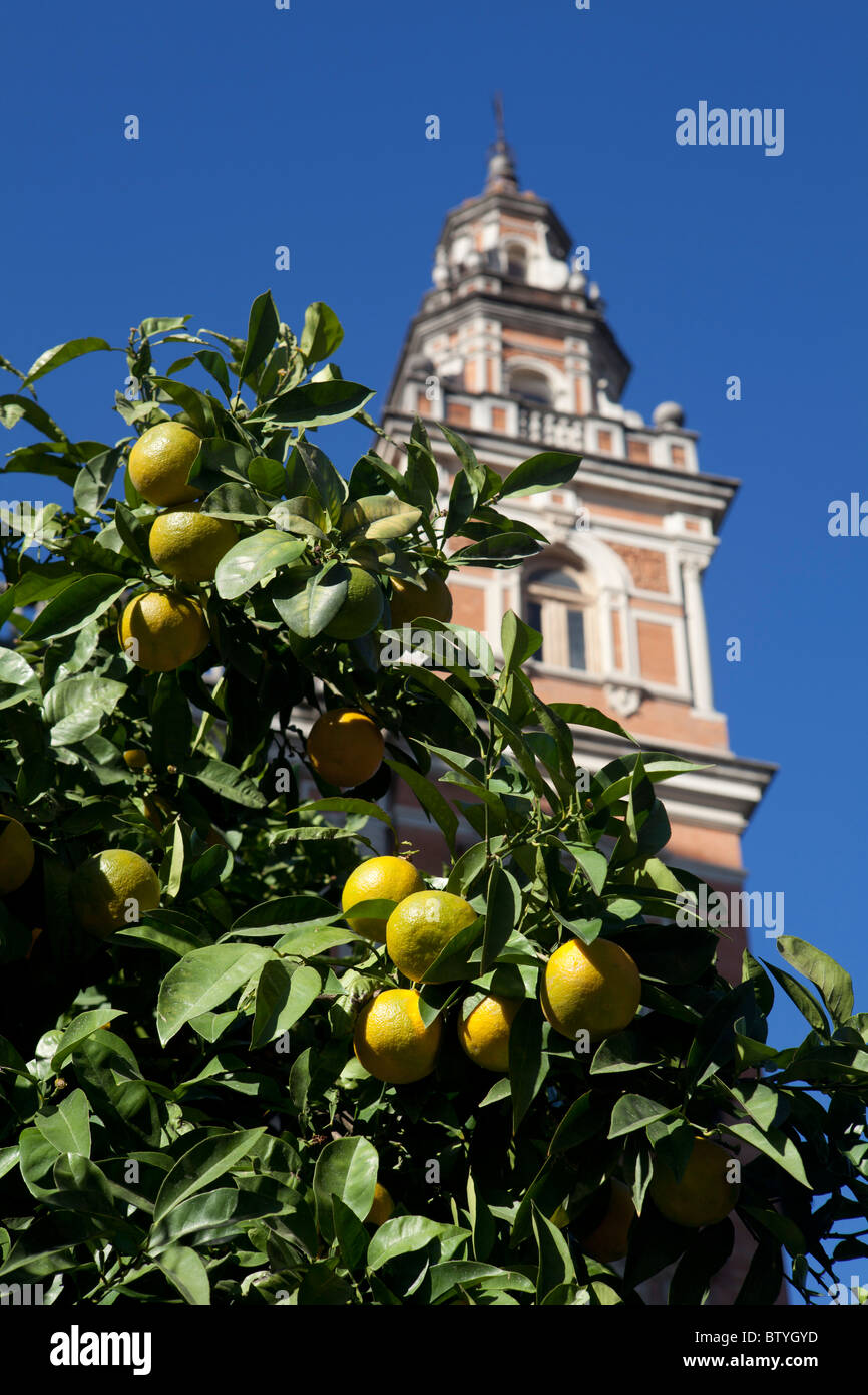 Sevilla orange hi-res stock photography and images - Alamy