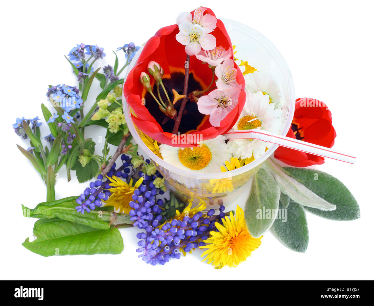 Wild small pink flowers Cut Out Stock Images & Pictures - Alamy