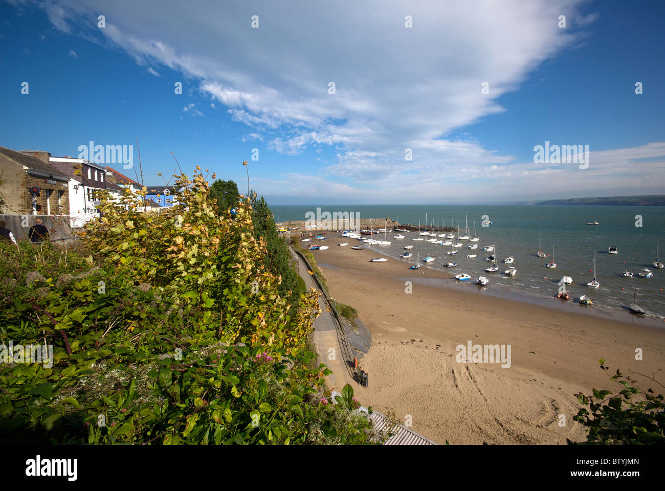 New Quay Harbor Harbour Cardigan Bay Wales UK Sea Stock Photo - Alamy