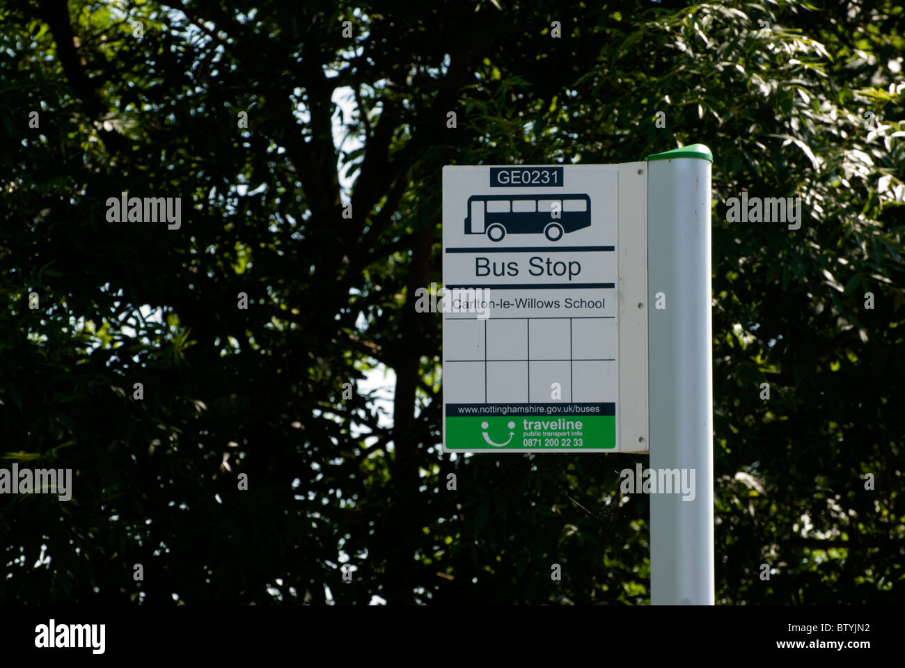 A bus stop in front of a tree in Nottinghamshire Stock Photo - Alamy