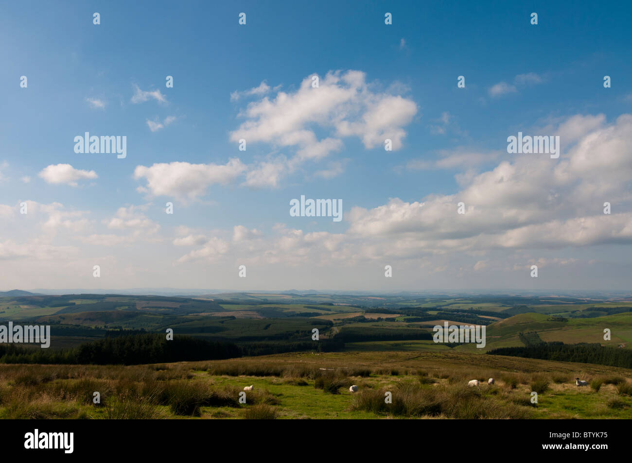 Carter bar border crossing hi-res stock photography and images - Alamy