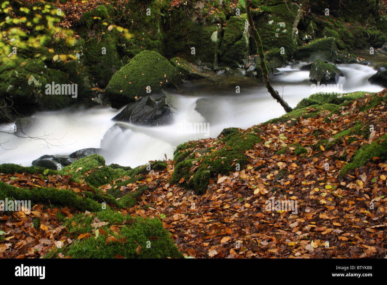 Afon clywedog hi-res stock photography and images - Alamy