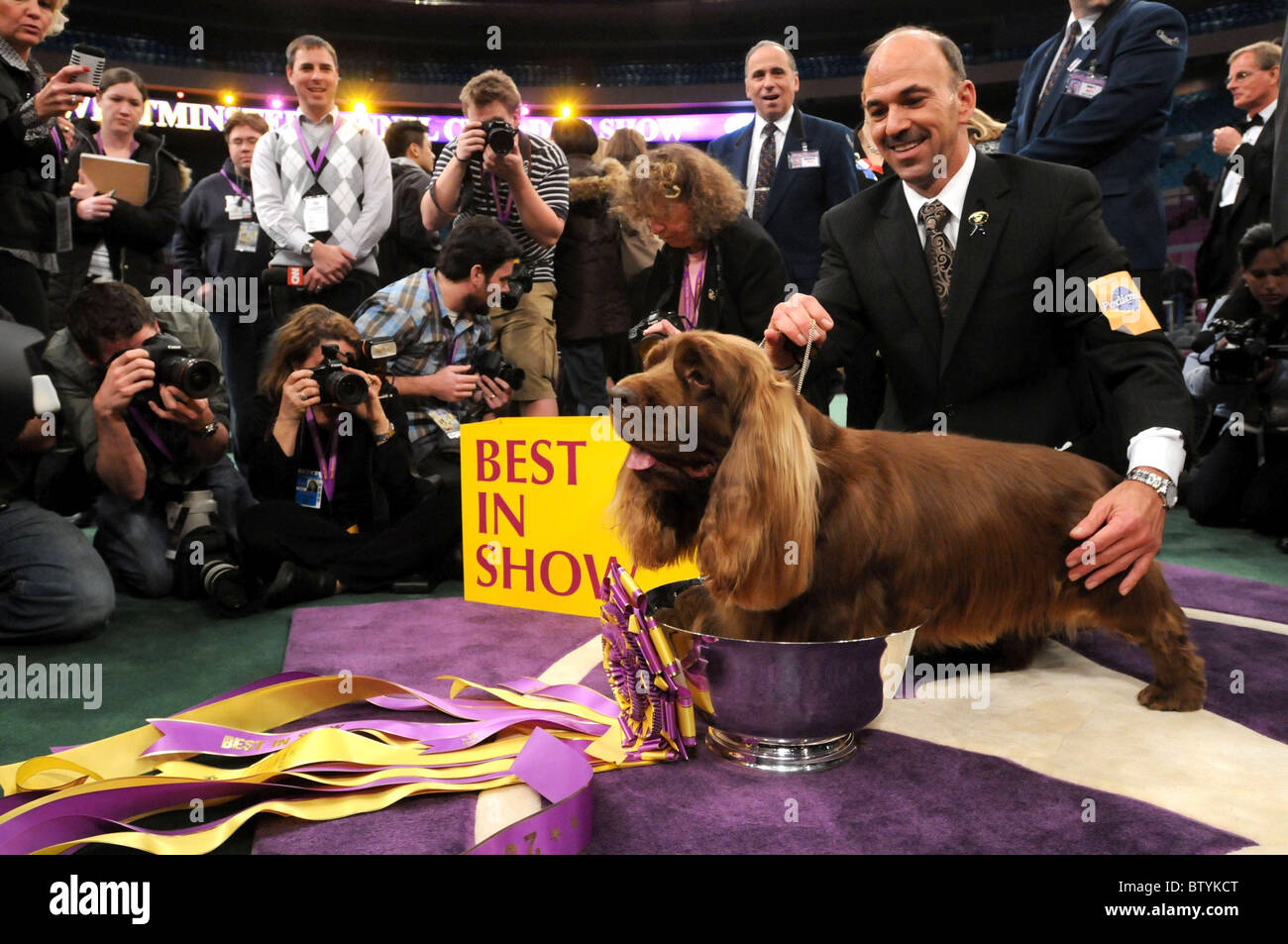 113th Annual Westminster Kennel Club Dog Show Stock Photo - Alamy