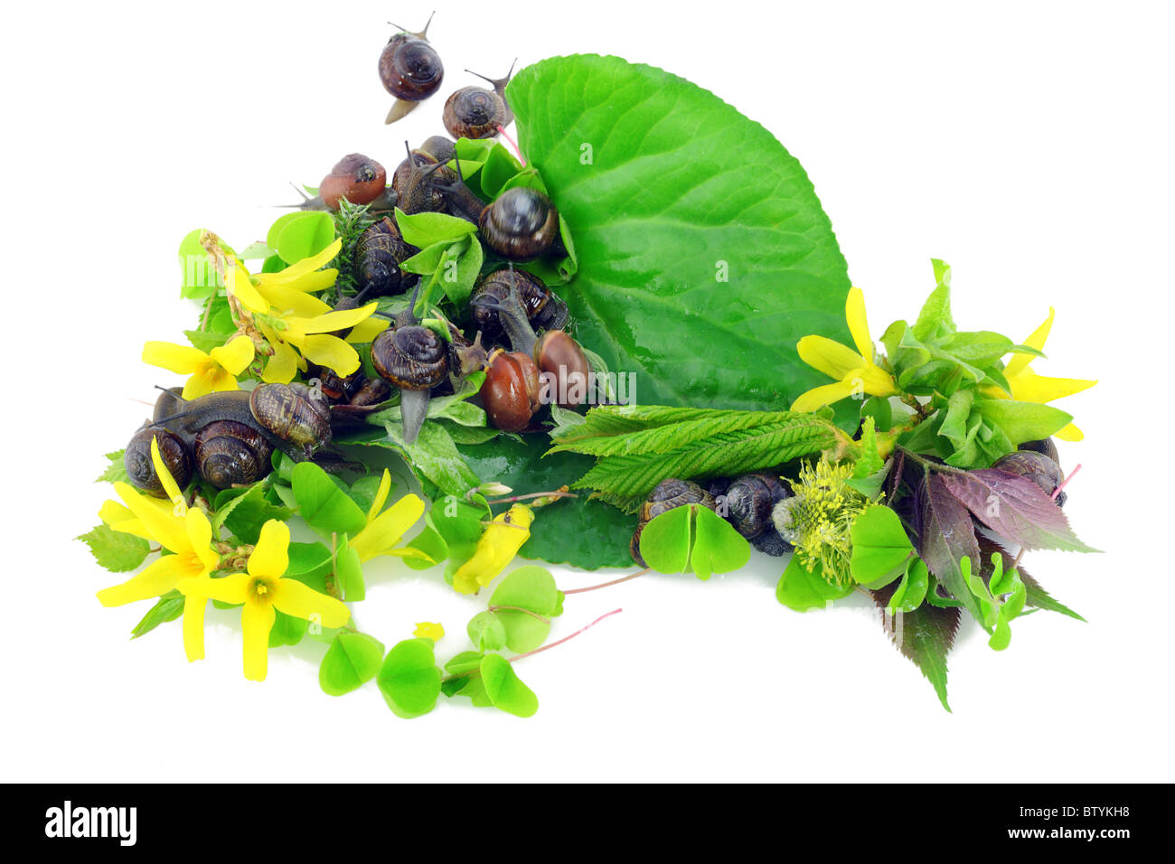 Come see the paradise Cut Out Stock Images & Pictures - Alamy