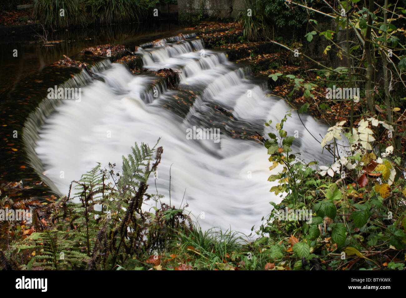 Bersham waterfall and River Clywedog in Autumn near Wrexham Stock Photo ...