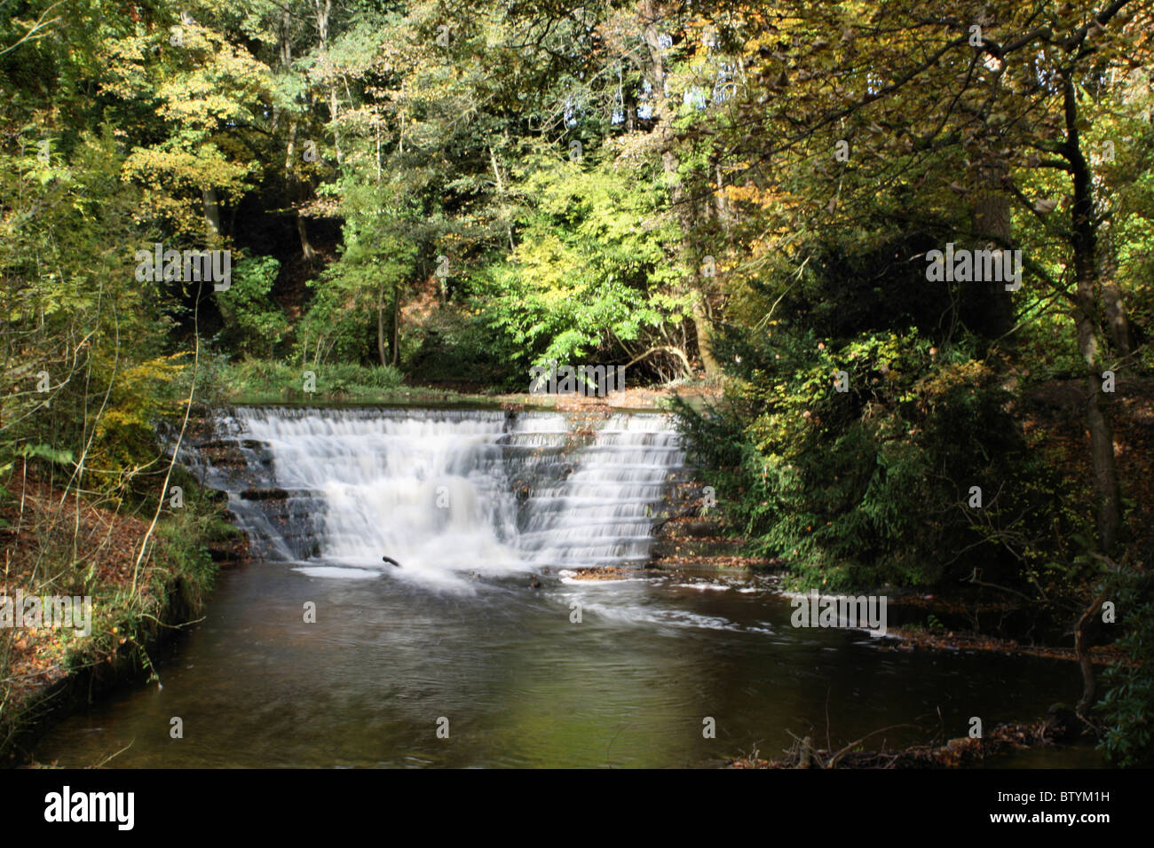 Waterfall flows over brown leaves hi-res stock photography and images ...