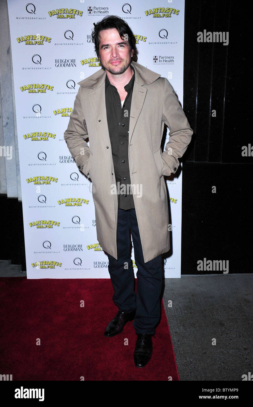 Fantastic mr fox hi-res stock photography and images - Alamy