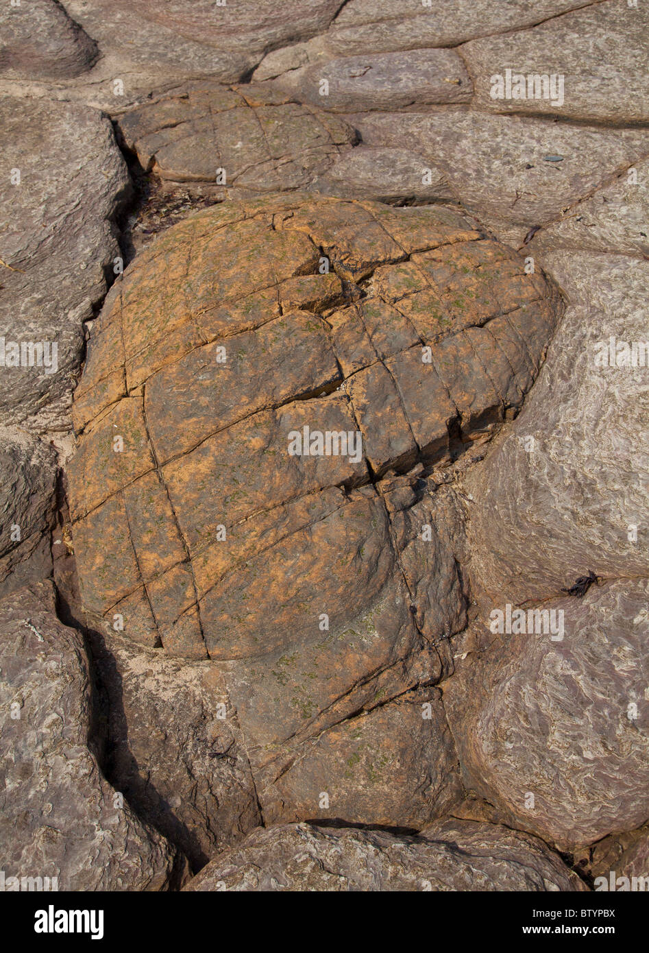 Mudstone hi-res stock photography and images - Alamy