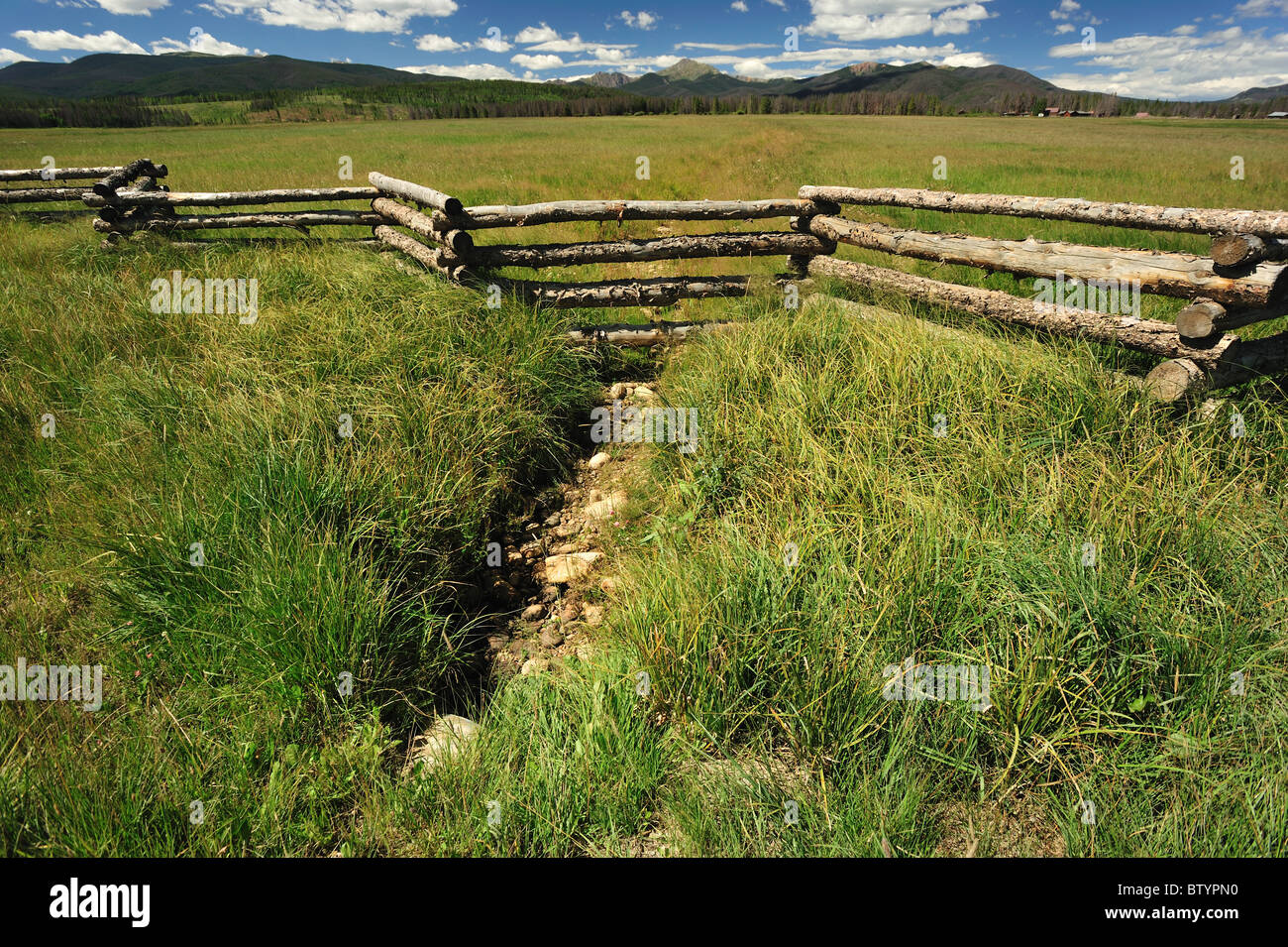 Dry creek bed, Fraser river basin, Fraser, Colorado Stock Photo - Alamy
