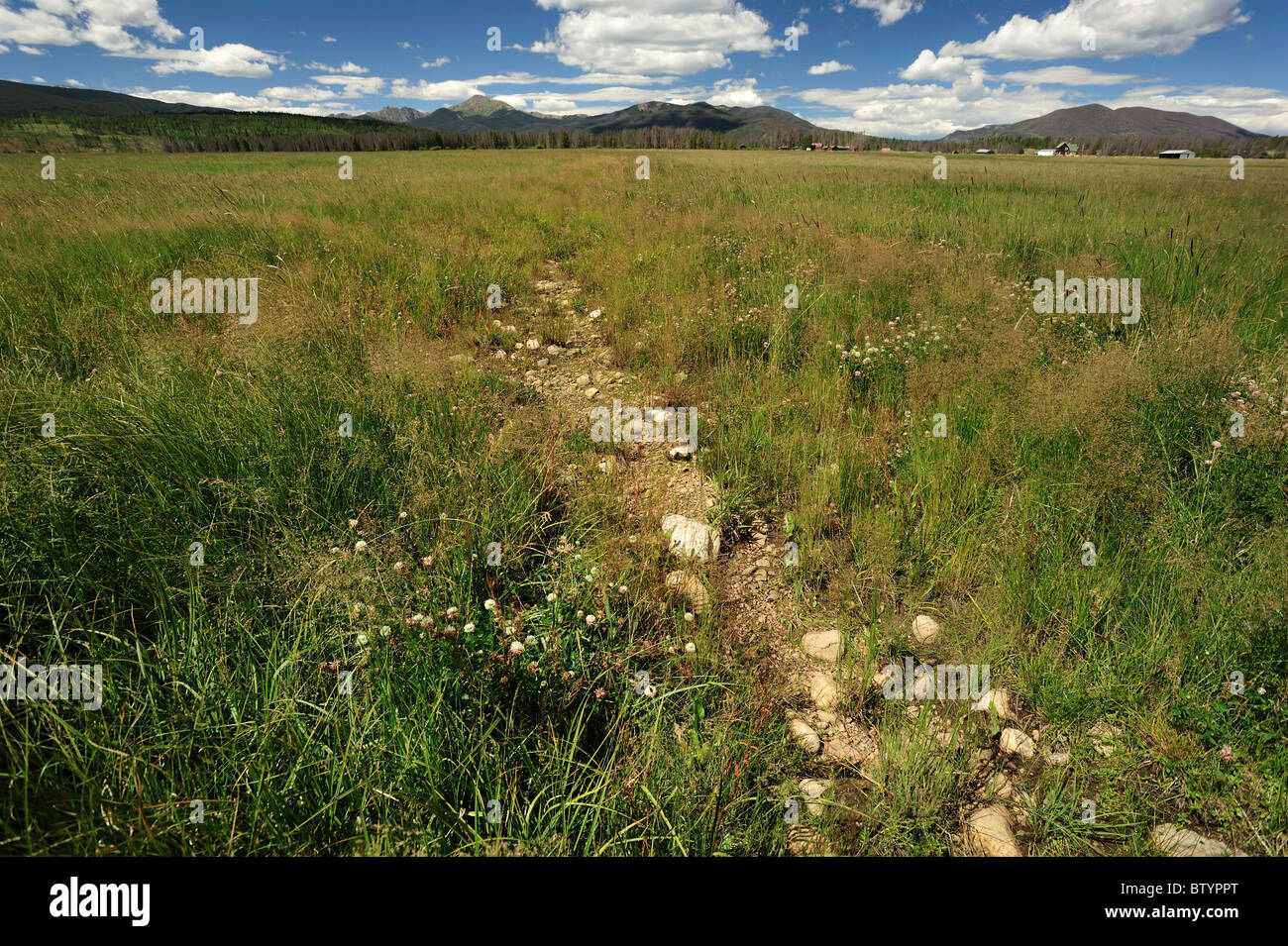 Dry creek bed, Fraser river basin, Fraser, Colorado Stock Photo - Alamy