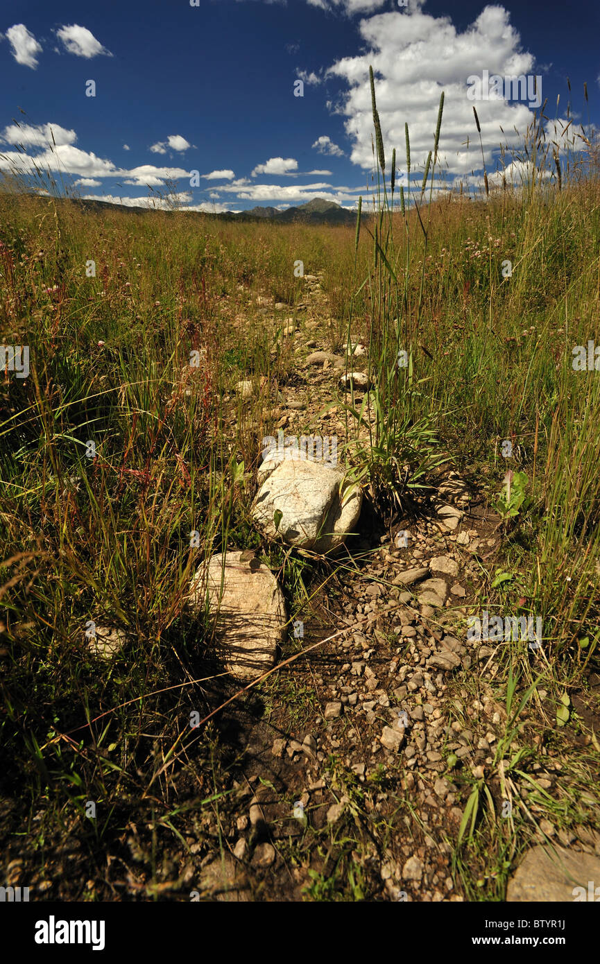 Dry creek bed, Fraser river basin, Fraser, Colorado Stock Photo - Alamy