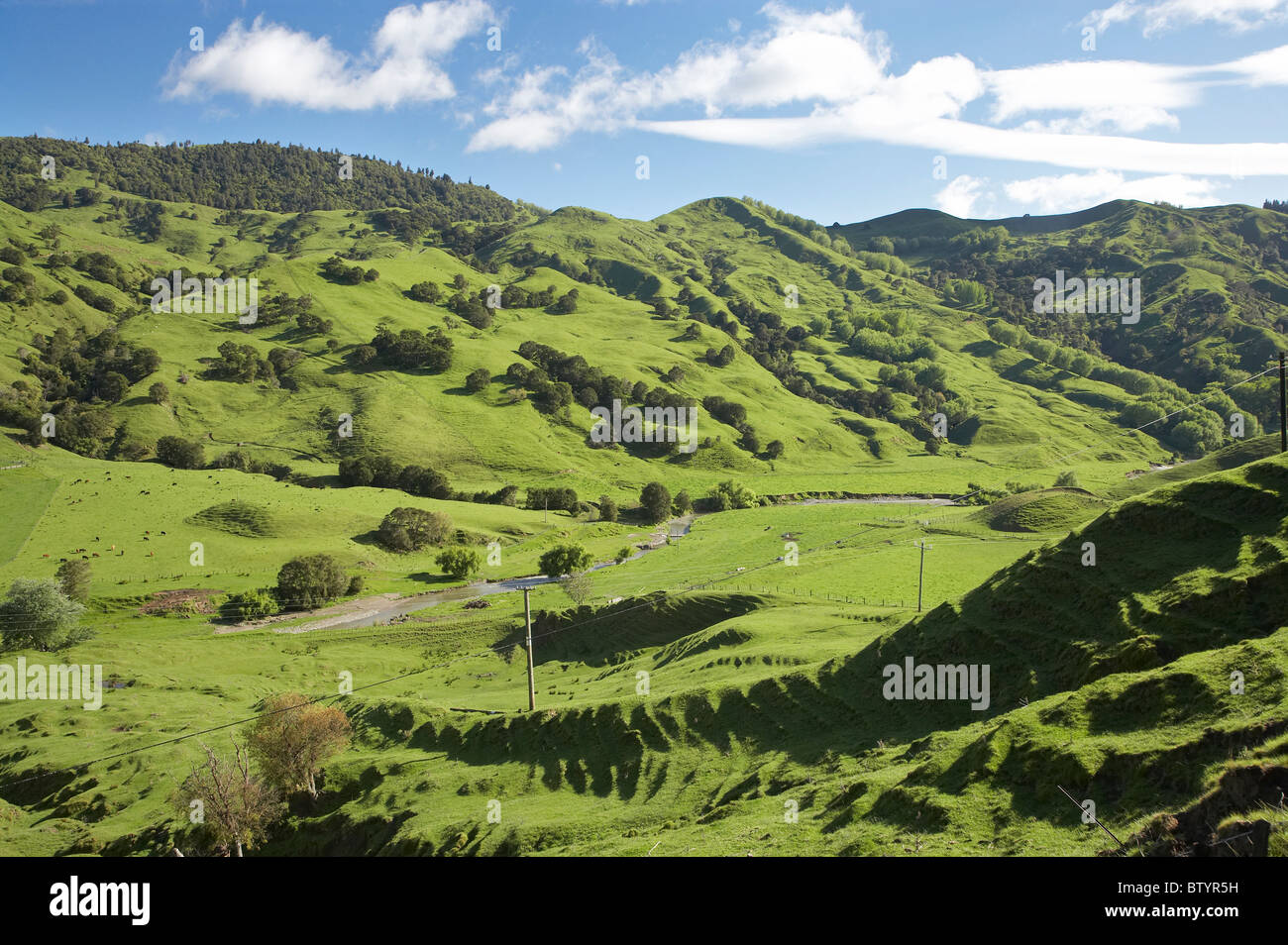 Te karaka island hi-res stock photography and images - Alamy