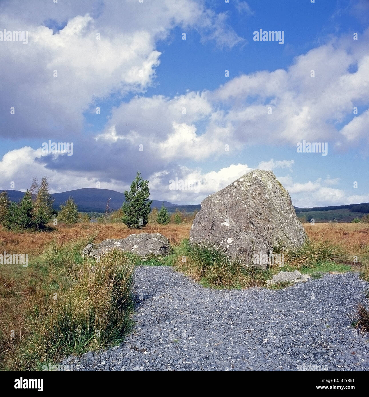 Bruce Stone Galloway Stock Photos & Bruce Stone Galloway Stock Images ...