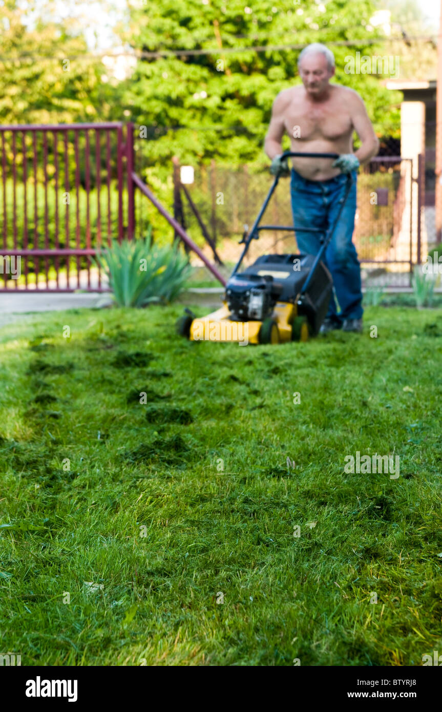 man cutting the grass with the mower Stock Photo - Alamy