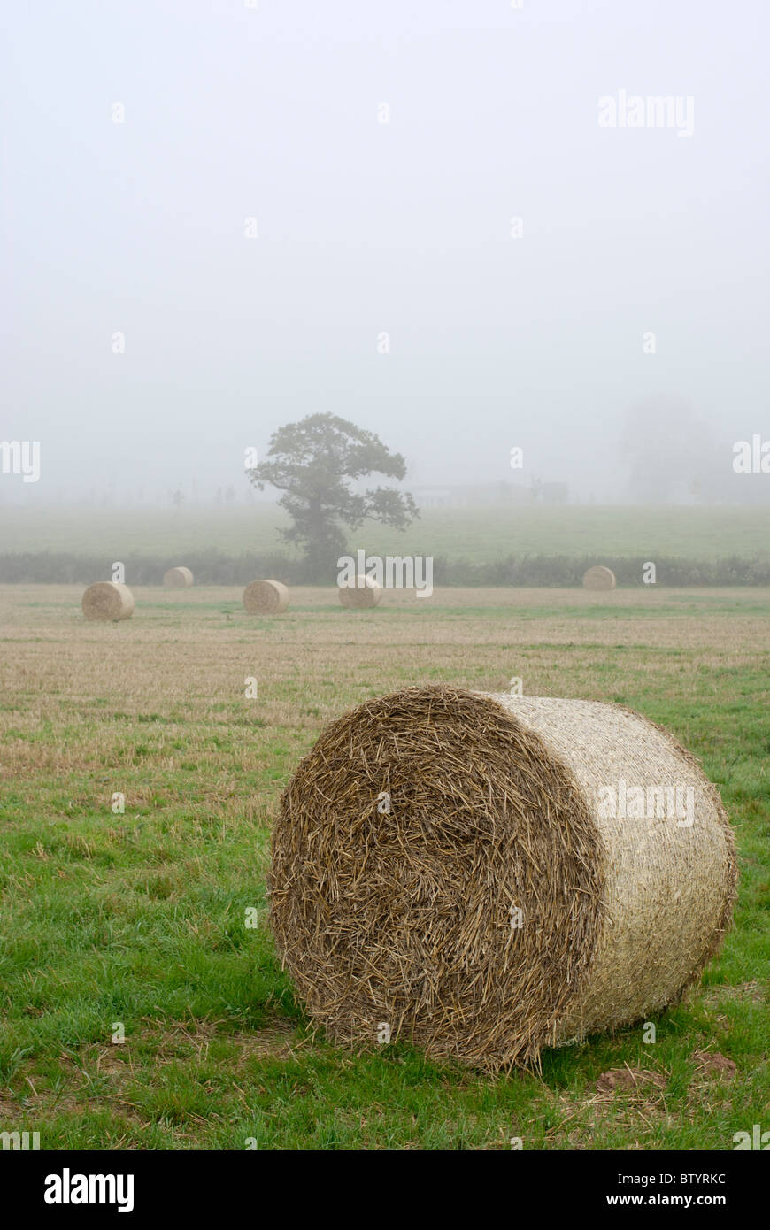 Circular hay hi-res stock photography and images - Alamy