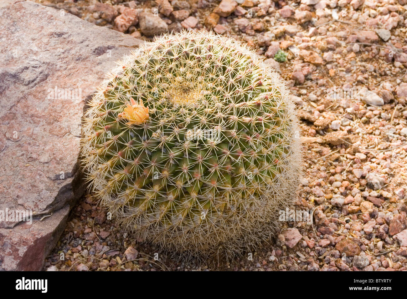 Heyder hi-res stock photography and images - Alamy