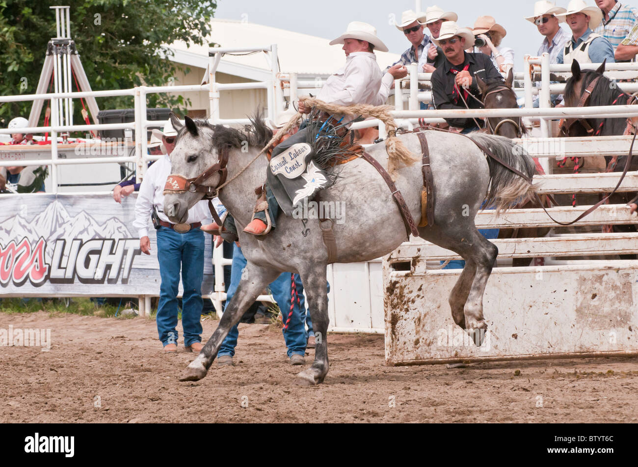 Cowboy saddle bronc riding feral horse hi-res stock photography and ...