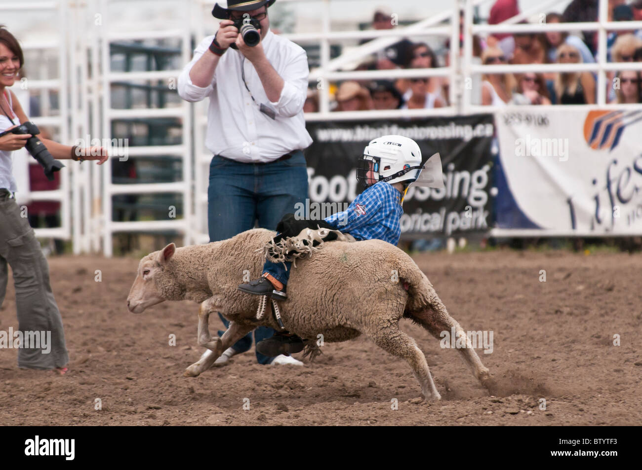 Mutton busting event, children riding sheep, Strathmore Heritage Days ...