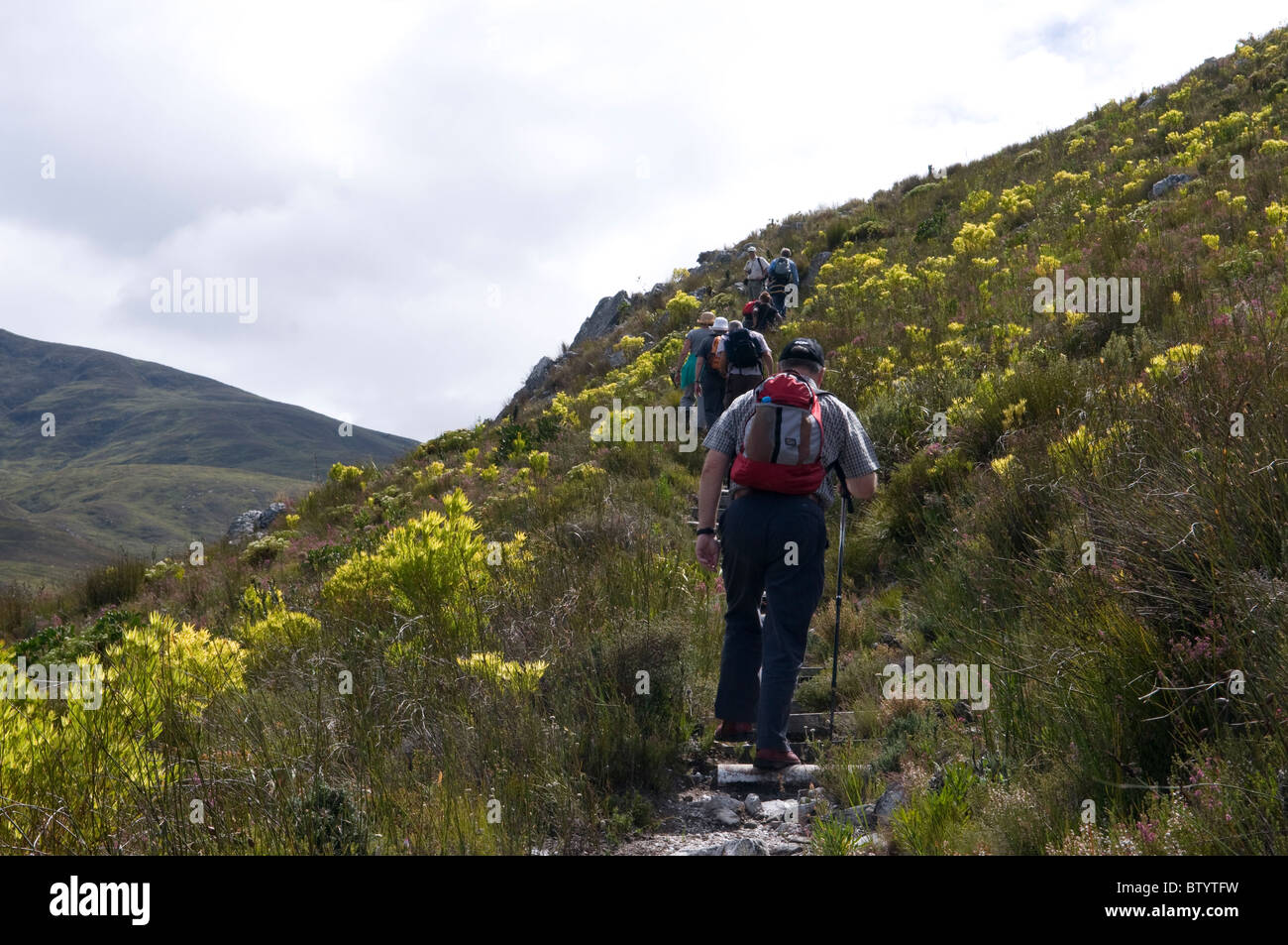 Back view of a group of hikers walking along a footpath wearing ...