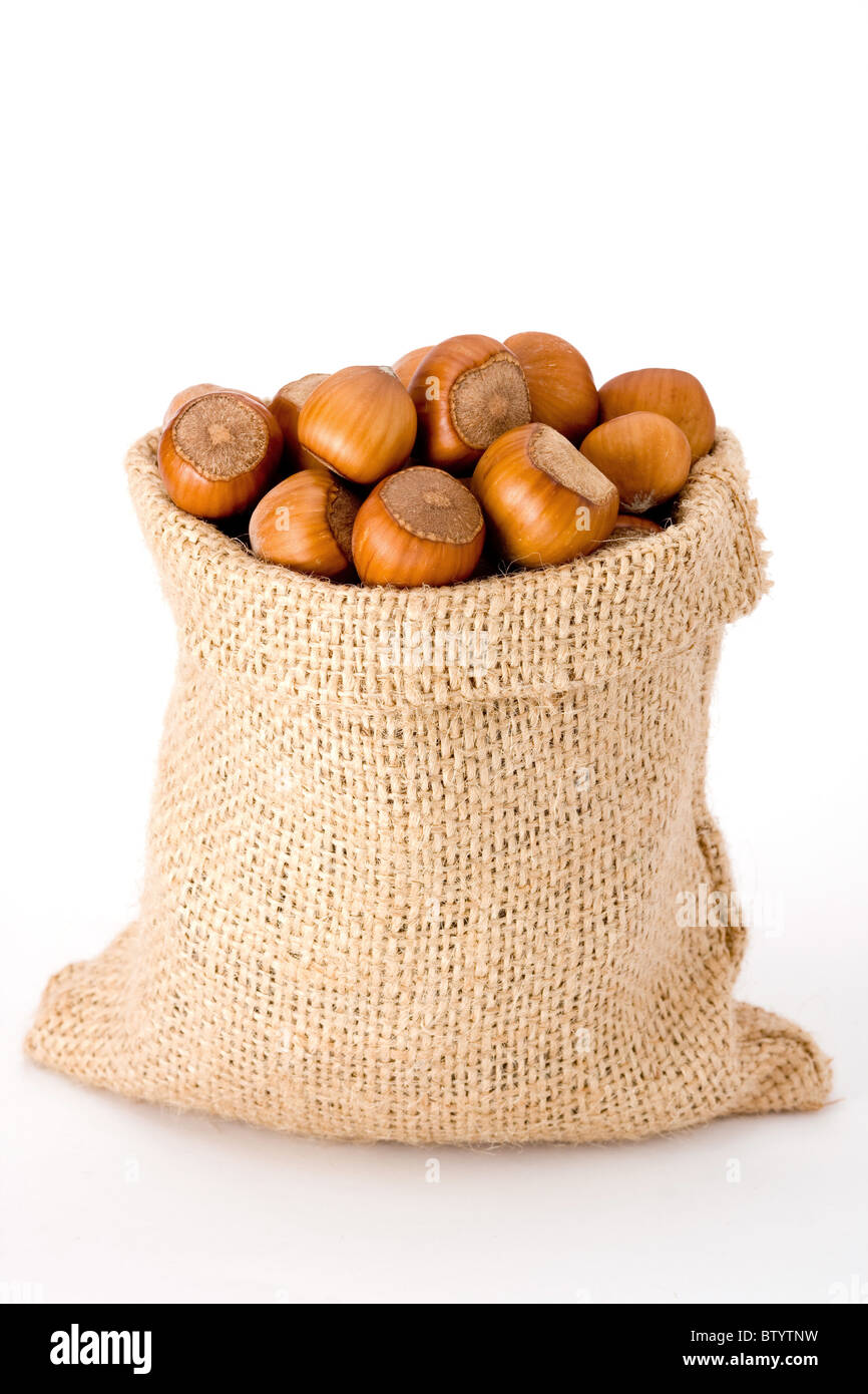 Hazelnut in shell hi-res stock photography and images - Alamy