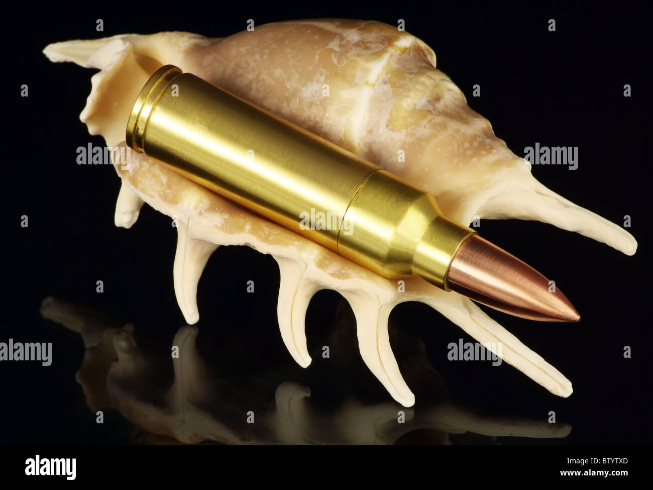 Sea shell on brass hi-res stock photography and images - Alamy