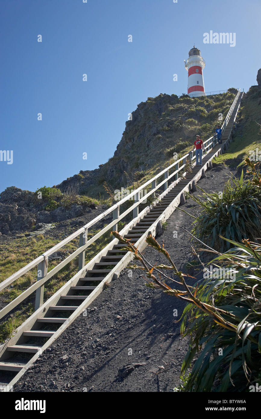 Famous Steps to Historic Cape Palliser Lighthouse (1897), Wairarapa ...