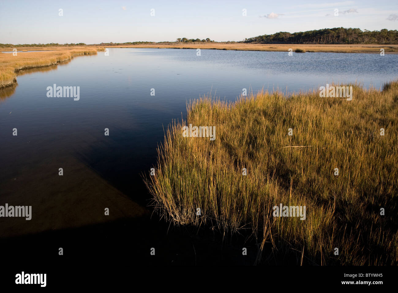 Chesapeake bay estuary hi-res stock photography and images - Alamy