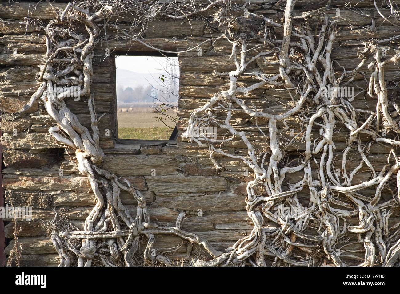 Strath taieri hi-res stock photography and images - Alamy