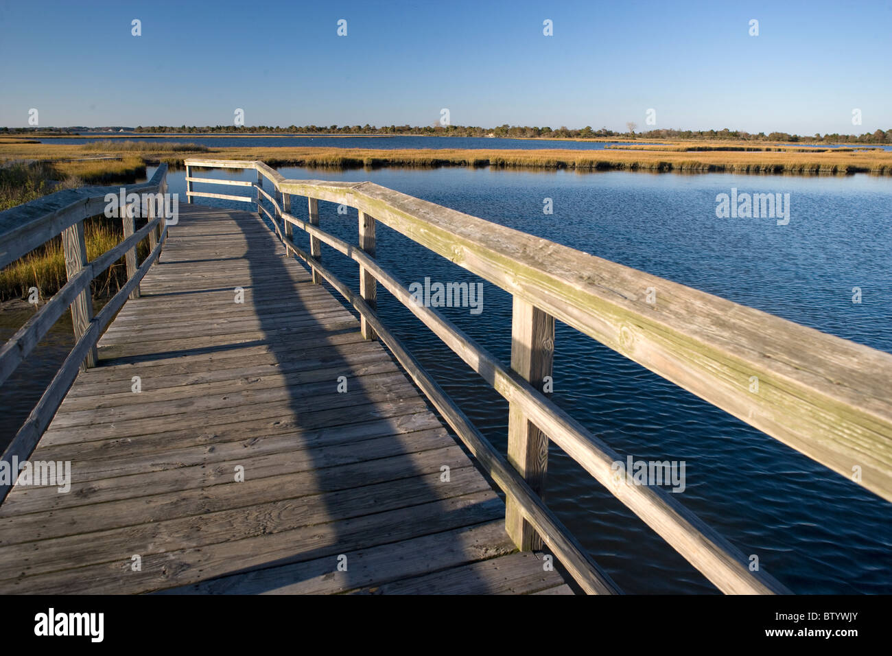A boardwalk through the salt marsh on Assateague Island National ...