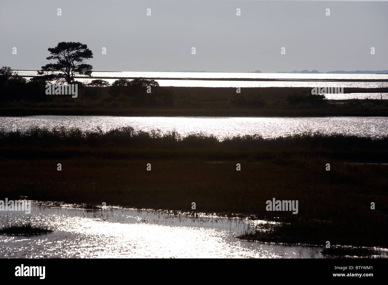 silhouette of a salt marsh on Assateague island National Seashore Stock ...