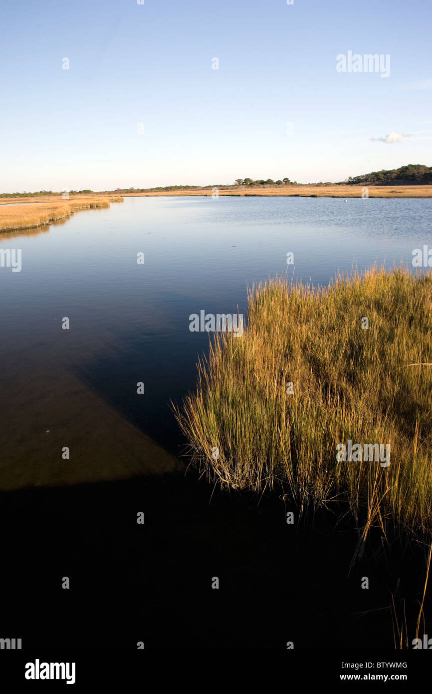 Tidal inlet through a salty marsh on Assateague Island national ...
