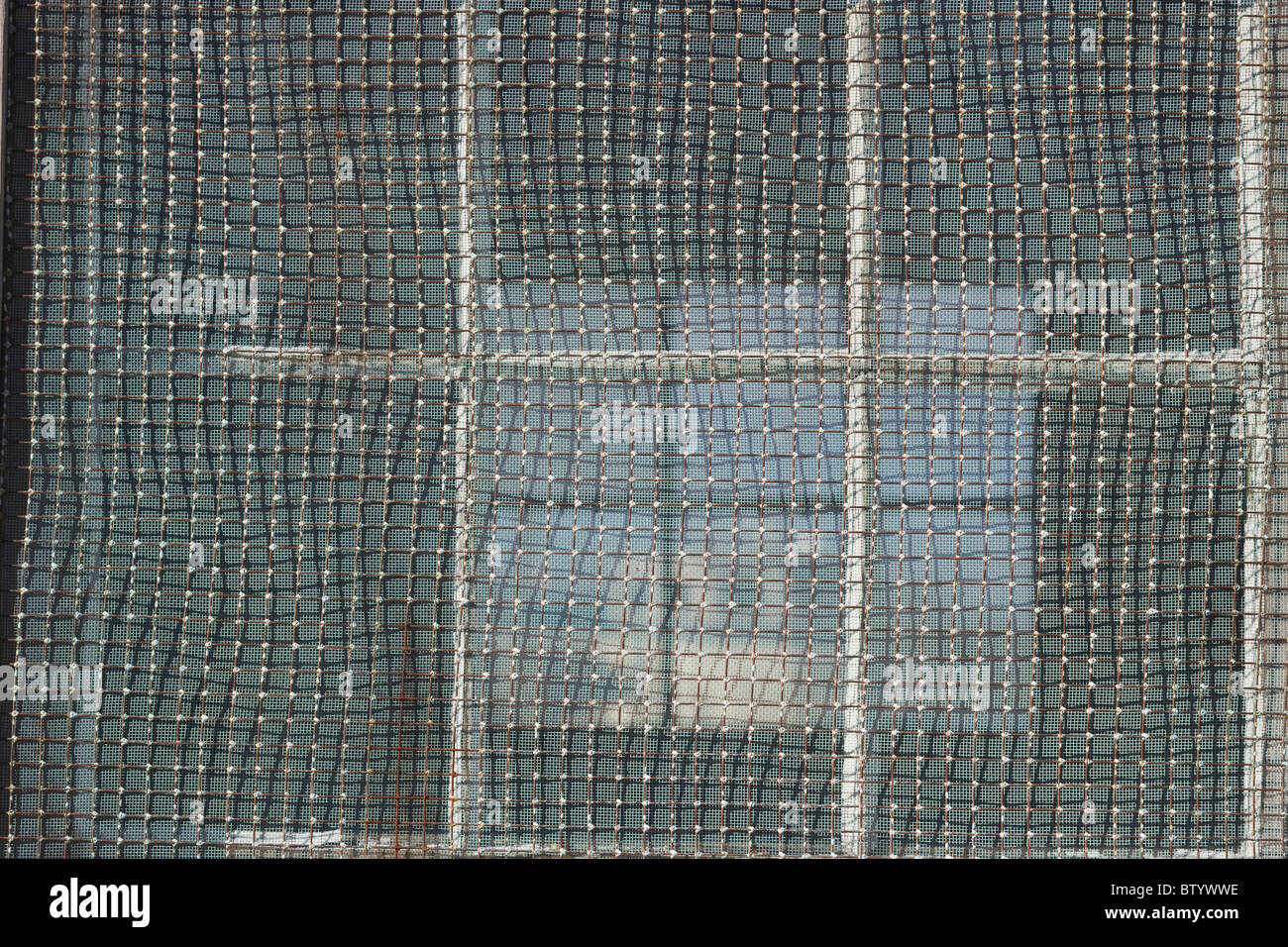 old screened window is double covered with wire at the Chesapeake Bay ...