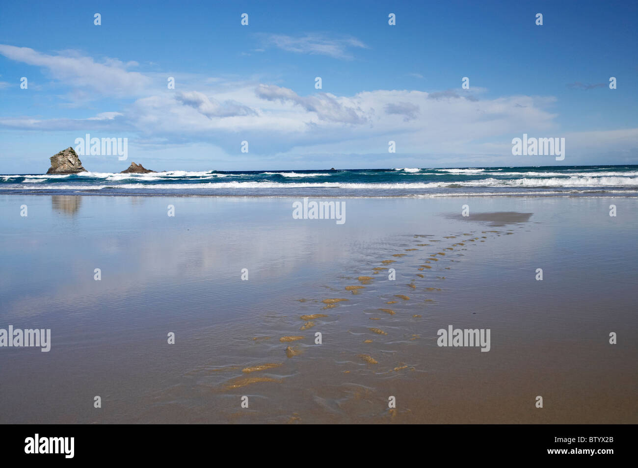 Tracks from a Sea Lion and Lion's Head Rock, Sandfly Bay, Otago ...