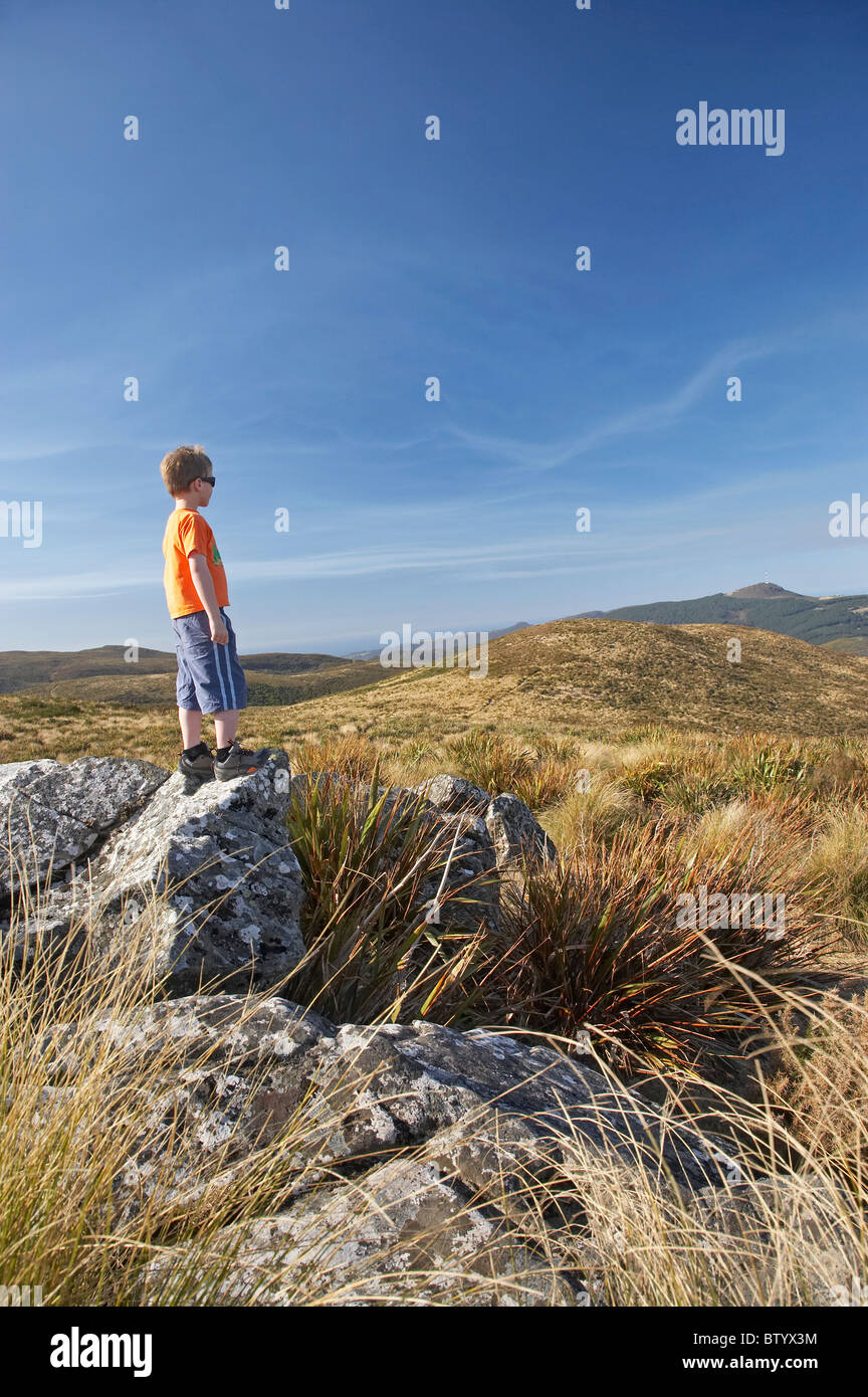 Young hiker on Pineapple Track, Flagstaff (668m), Dunedin, Otago, South ...