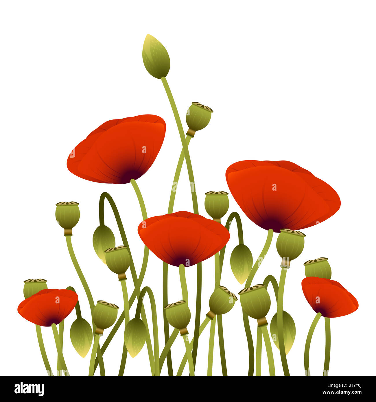Background with red poppy flowers for your design Stock Photo - Alamy
