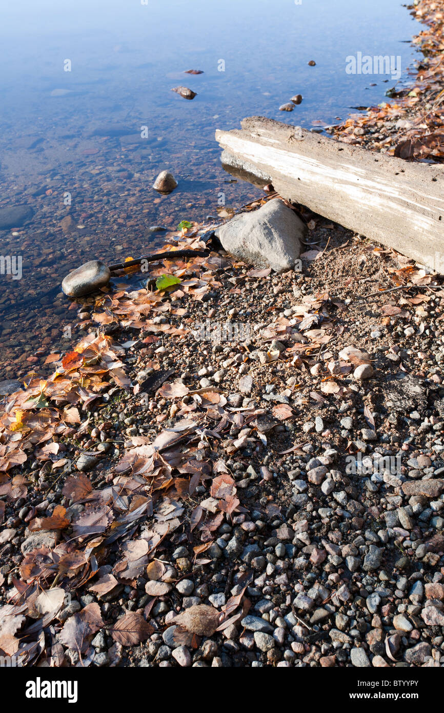 shoreline with old log and small stones Stock Photo - Alamy