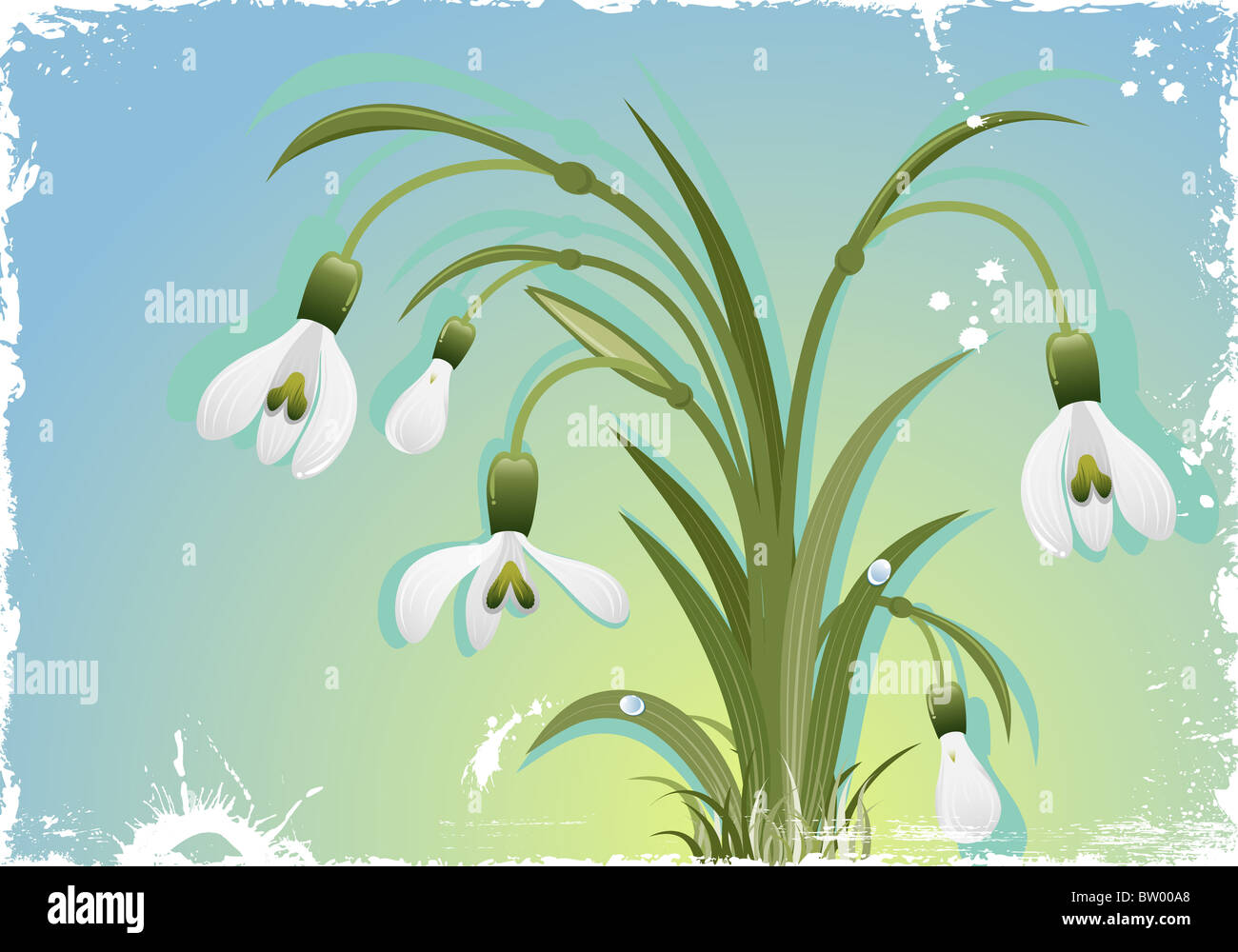 Grunge Floral Frame with snowdrop for design, vector illustration Stock ...
