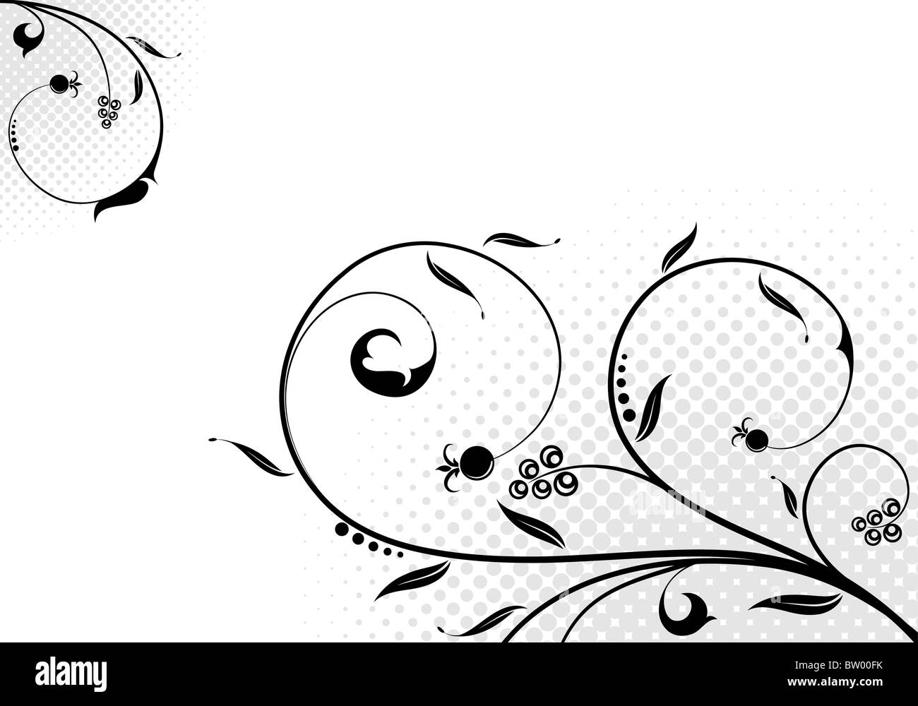 Floral scroll, element for design, vector illustration Stock Photo - Alamy Floral scroll, element for design, vector illustration Stock Photo - Alamy